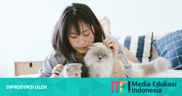 Alasan Ilmiah Mengapa Manusia Suka Kucing - Sains
