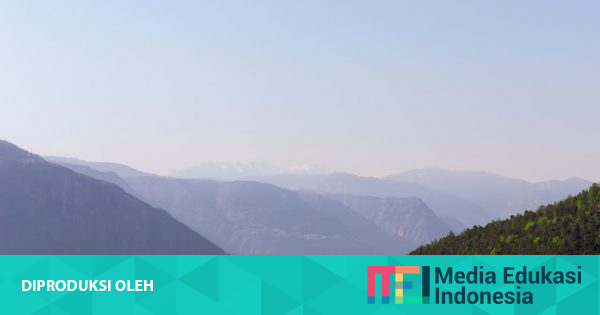 Simak Manfaat Hamparan Rumput Bagi Lingkungan - Media Edukasi Indonesia