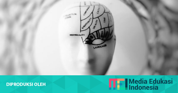 Intip 5 Fakta Unik Tentang Otak Manusia - Media Edukasi Indonesia