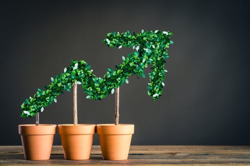Apa itu Greenflation? Kenali Penyebab dan Dampaknya - Media Edukasi ...