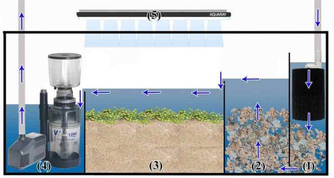 Mengenal Akuaponik: Pengertian, Komponen, dan Manfaatnya - Media ...